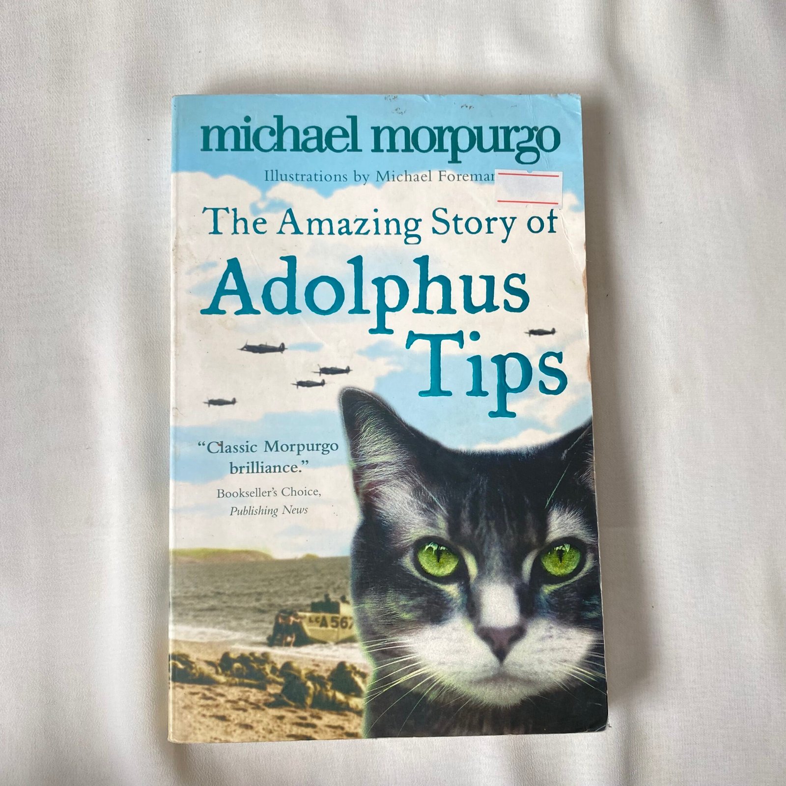 (PRE LOVED) The Amazing Story of Adolphus Tips | Hiba | Islamic Books ...